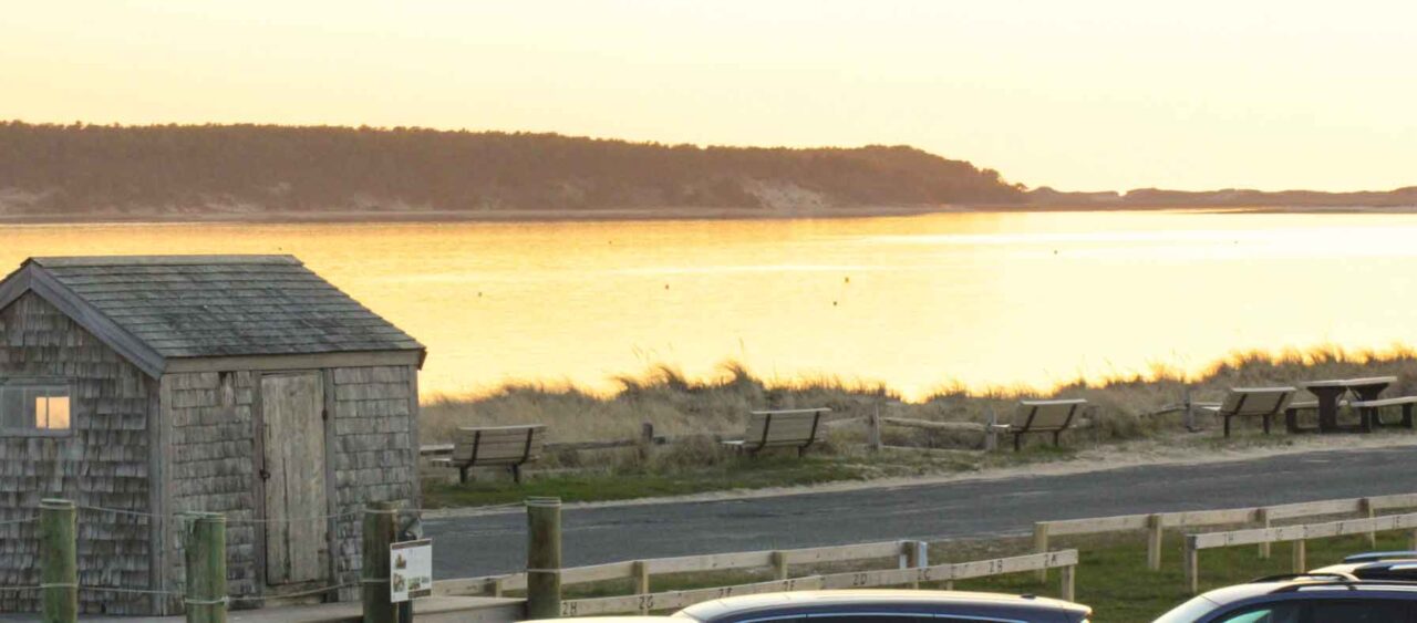 Gallery - Wellfleet Bookstore & Restaurant